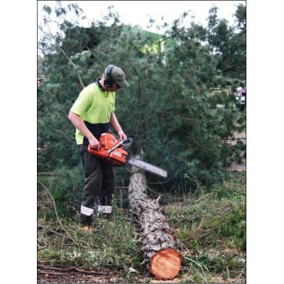 Jacks Tree Services Melbourne - Arborist and tree surgeon in Melbourne ...