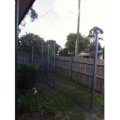 Cat Enclosure Installations VIC - Pet boarding service in Glen Iris ...